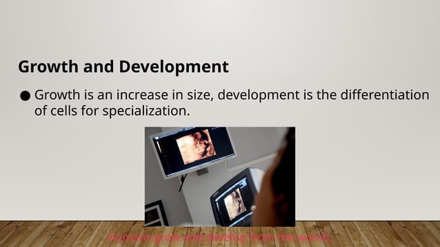 POwerpoint documents Lesson 1 in Physical Science | PPT