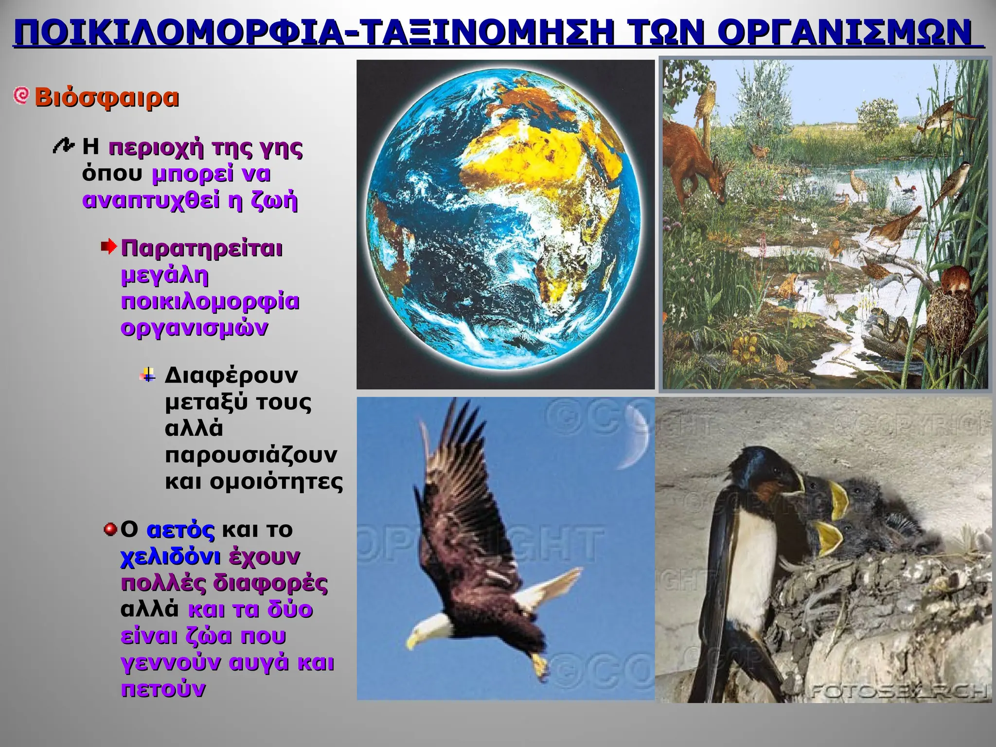 1.3α Ποικιλομορφία και ταξινόμηση των οργανισμών | PPT