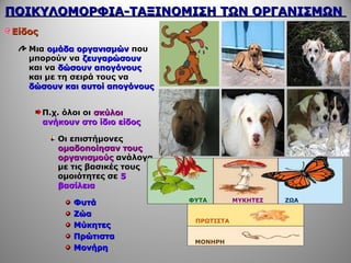 1.3α Ποικιλομορφία και ταξινόμηση των οργανισμών | PPT