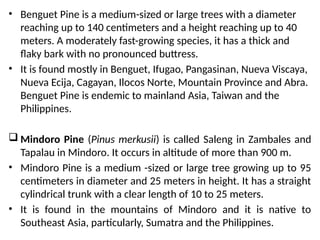 1. introduction to philippine forest.pptx