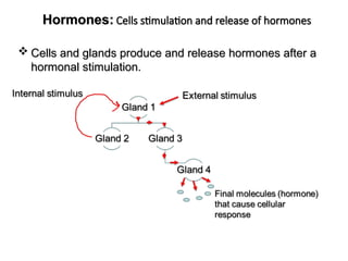 introduction to Hormones in basic hematology | PPT
