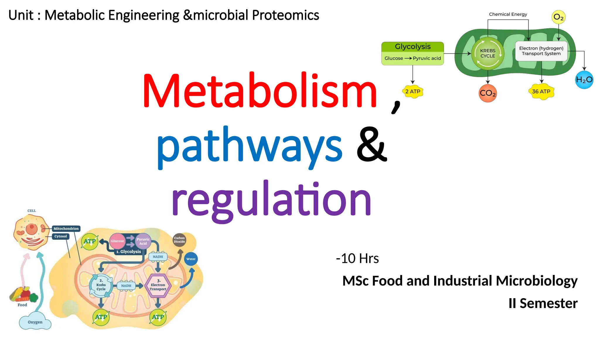 1. Metabolism, central metabolism and regulation of metabolic pathways ...