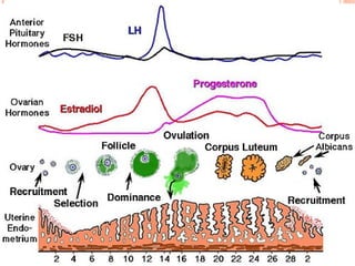 1. Polycystic Ovarian Syndrome ( PCOS ).ppt