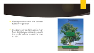 1.12---The-Drainage-Basin-System---Stores.pptx