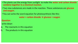1. PHOTOSYNTHESIS IN PLANTS EXPLAINED.pdf