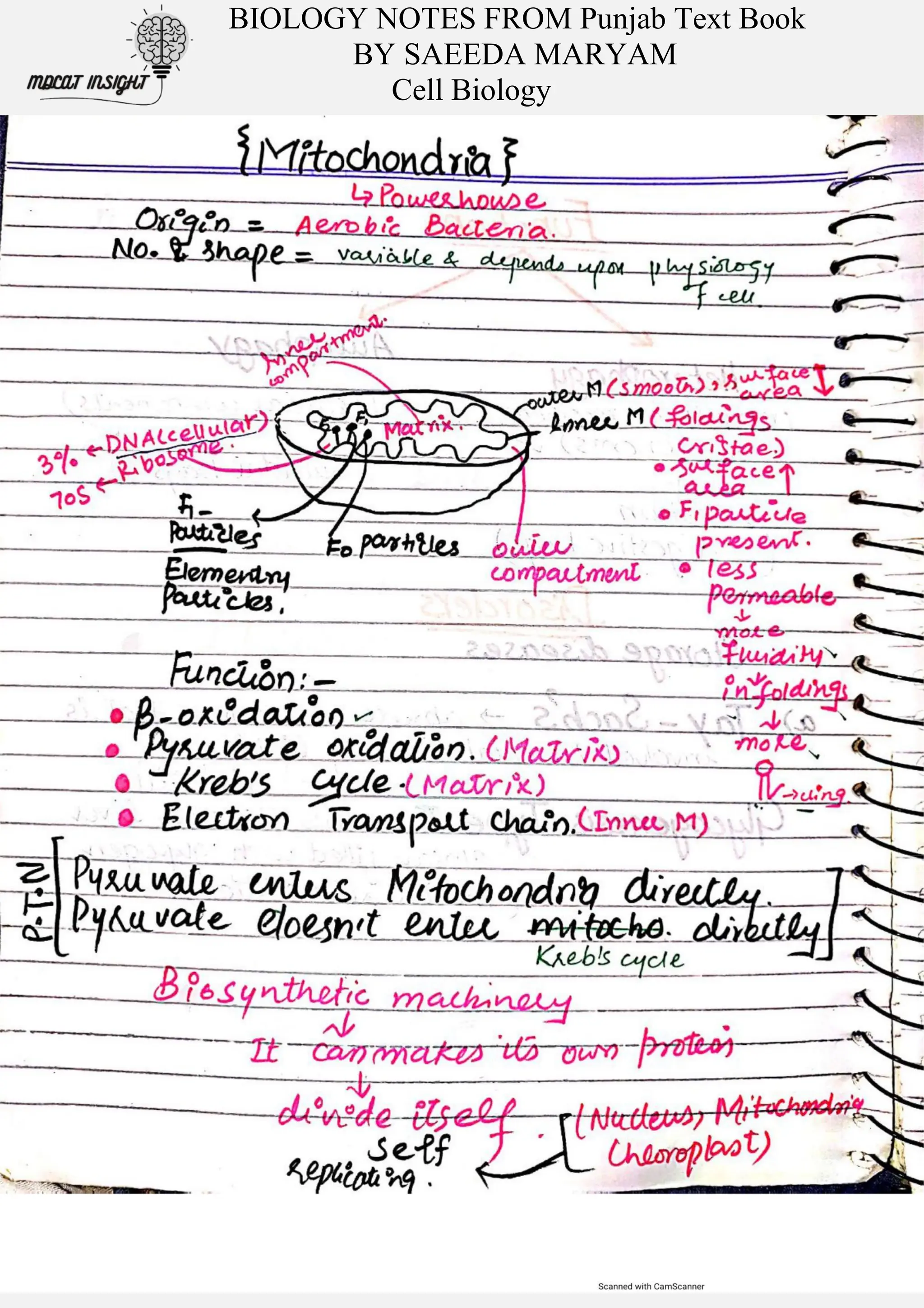 1.Cell Biology Notes mdcat important chapter | PDF