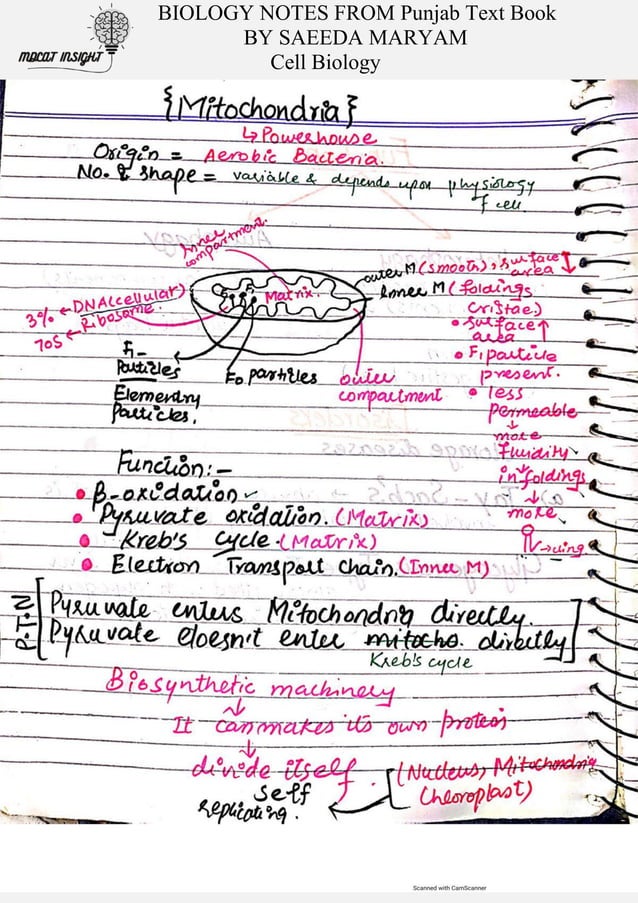 1.Cell Biology Notes mdcat important chapter | PDF
