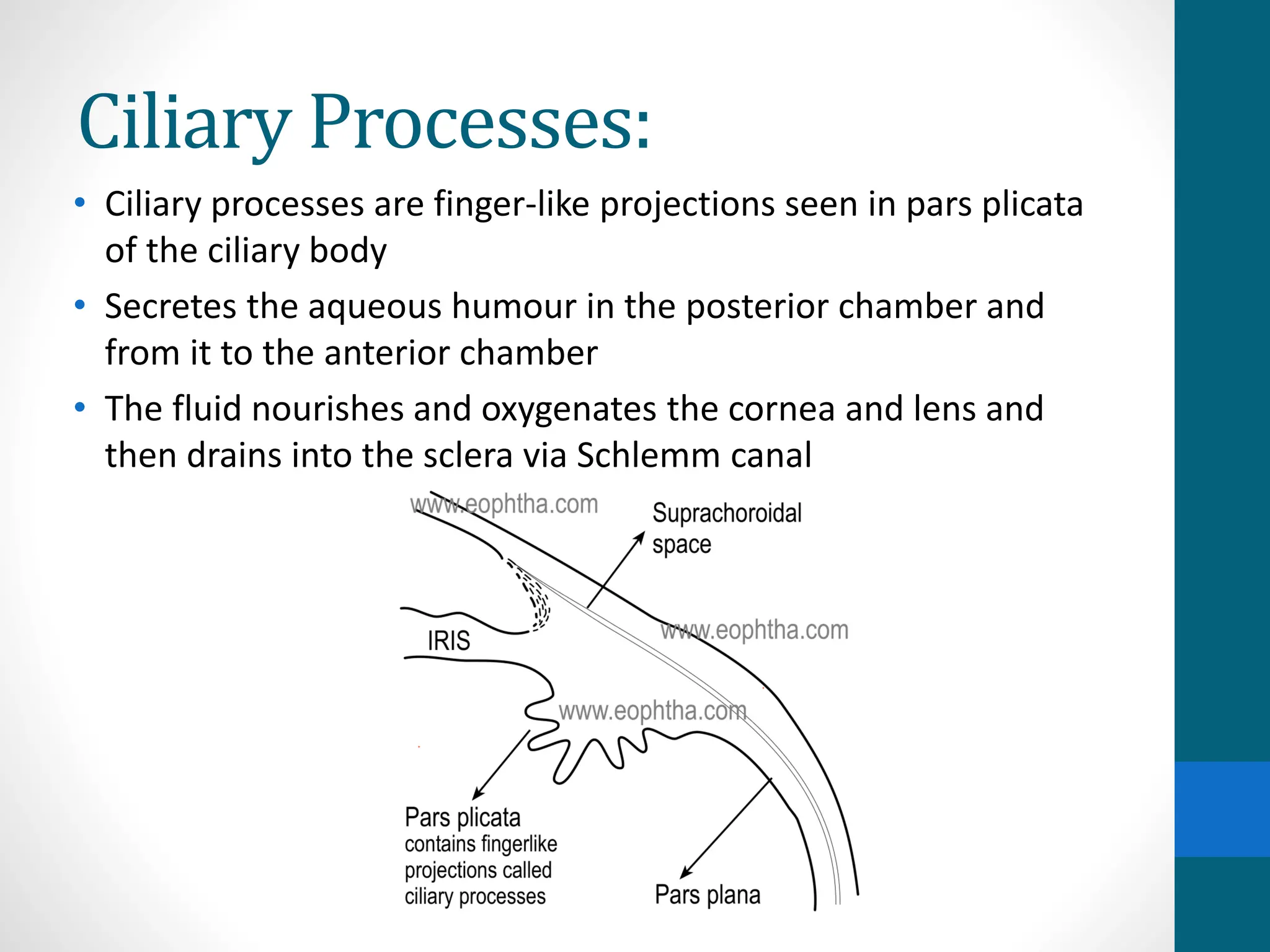 1. ANATOMY & PHYSIOLOGY OF EYE student.pdf