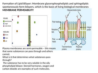 1. CELL BIOLOGY and to general physiology | PPTX