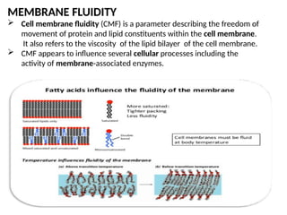 1. CELL BIOLOGY and to general physiology | PPTX