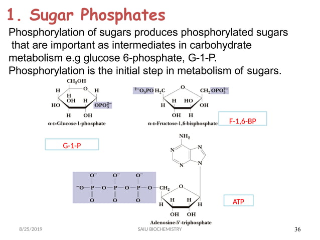 1. carbohydrate structure and function.pptx