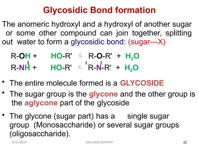 1. carbohydrate structure and function.pptx