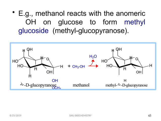 1. carbohydrate structure and function.pptx