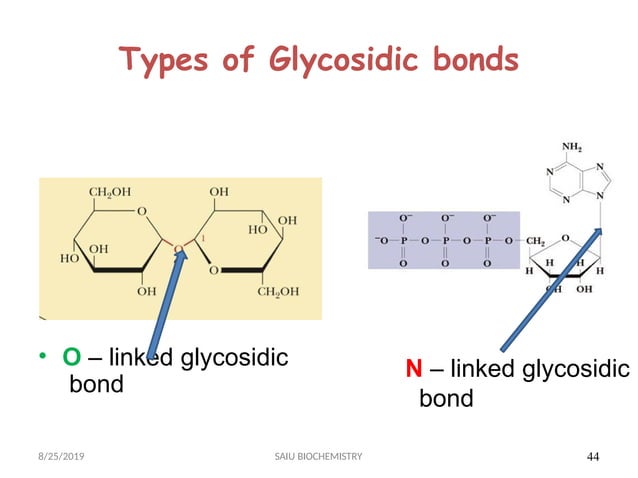 1. carbohydrate structure and function.pptx