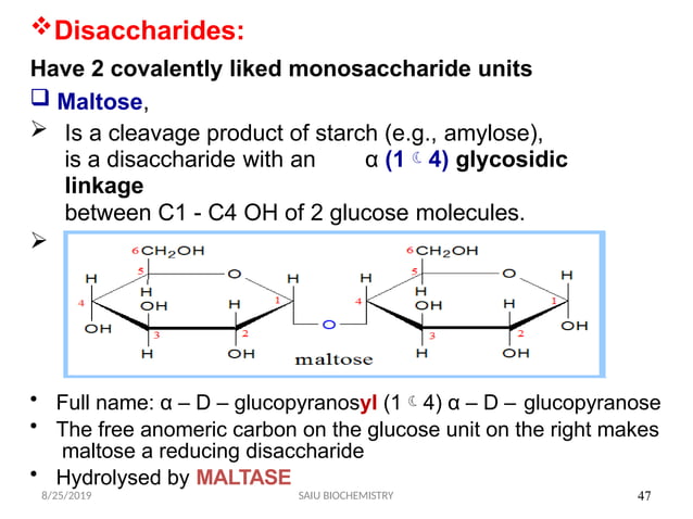 1. carbohydrate structure and function.pptx