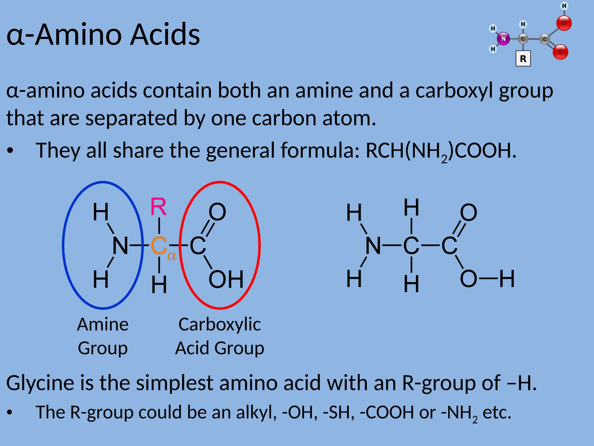 1.-Amino-Acids (Organic Chemistry) .pptx