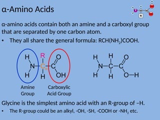 1.-Amino-Acids (Organic Chemistry) .pptx