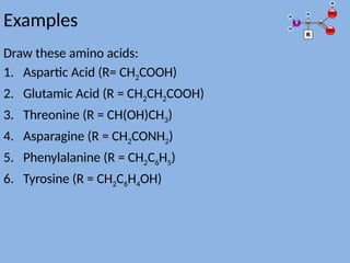 1.-Amino-Acids (Organic Chemistry) .pptx