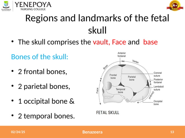 1. Normal newborn characteristics ye.ppt