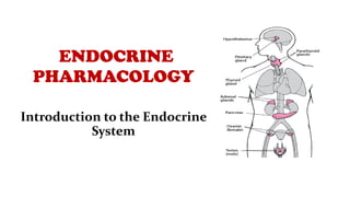 1.The Endocrine Introduction.pdf……………….. | PDF