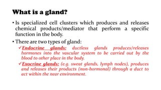 1.The Endocrine Introduction.pdf……………….. | PPT