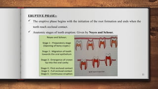 1. theories of eruption and chronology.pptx