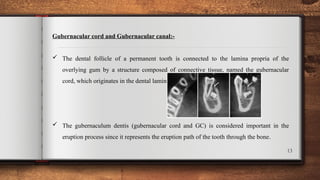 1. theories of eruption and chronology.pptx