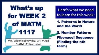1.-Fibonacci-and-Patterns-Copy (1).pptxk | PPT