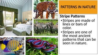 1.-Fibonacci-and-Patterns-Copy (1).pptxk | PPT