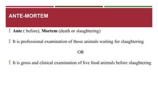 1. Ante mortem Exam-1.kjhkjhkjhjkhkjytttt | PPTX