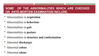 1. Ante mortem Exam-1.kjhkjhkjhjkhkjytttt | PPTX