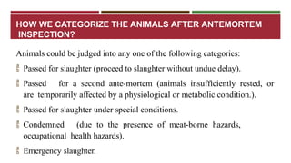 1. Ante mortem Exam-1.kjhkjhkjhjkhkjytttt | PPT