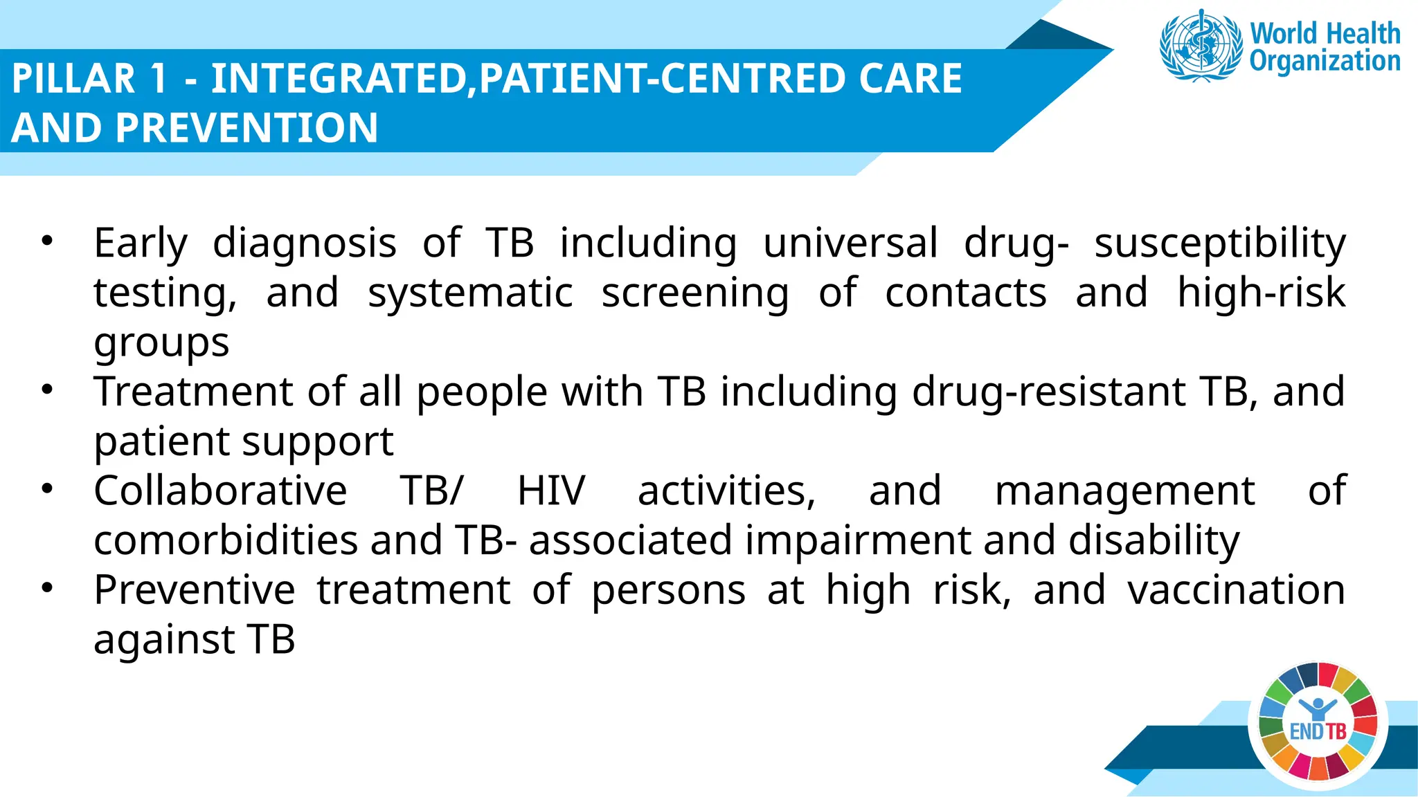 1. End TB Strategy.pptx latest for overview | PPTX