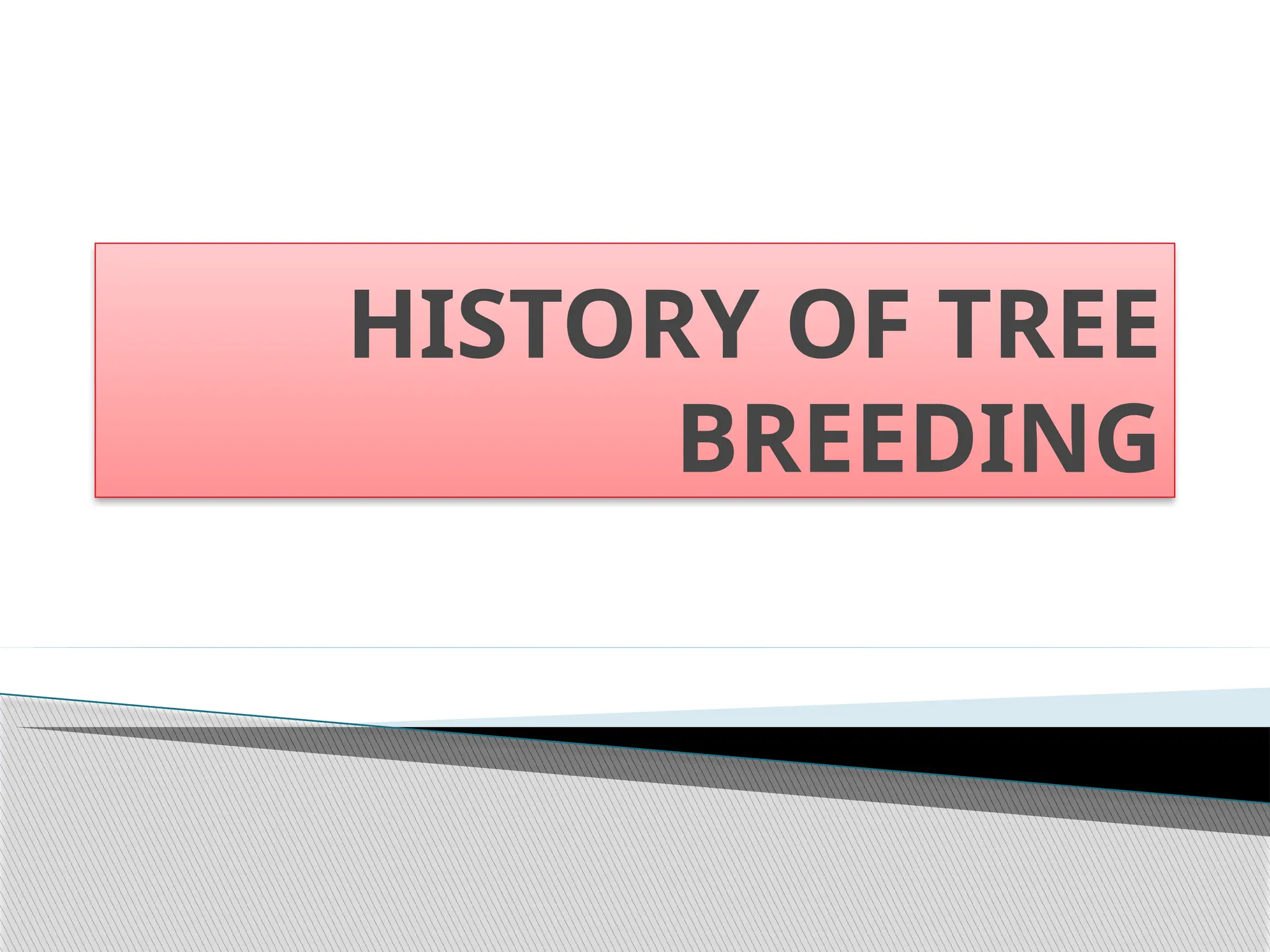 1.HISTORY OF TREE BREEDING in forest tree Improvement | PPTX