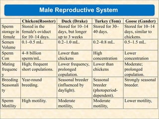 Reproductive biology in animals--species | PPTX