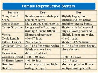 Reproductive biology in animals--species | PPT