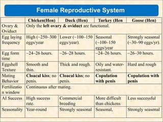 Reproductive biology in animals--species | PPT