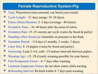 Reproductive biology in animals--species | PPTX