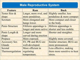Reproductive biology in animals--species | PPT