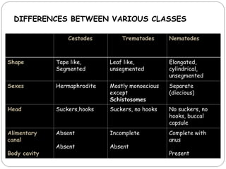 1.Classification_of_ all the Nematodes.ppt