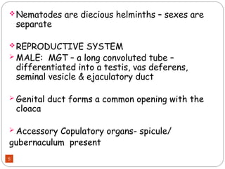 1.Classification_of_ all the Nematodes.ppt