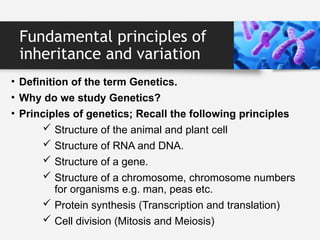 Introduction to genetics, Mendel's work. | PPTX