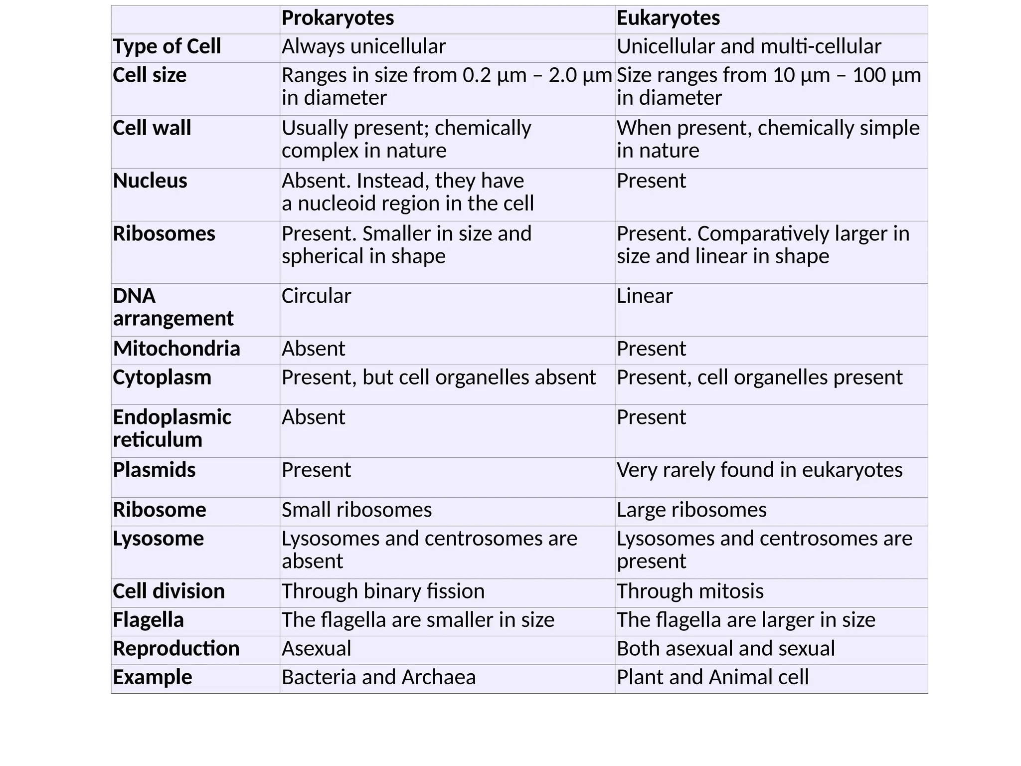 Biomolecules & the cell BPT biochemistry | PPT