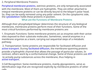 Biomolecules & the cell BPT biochemistry | PPTX