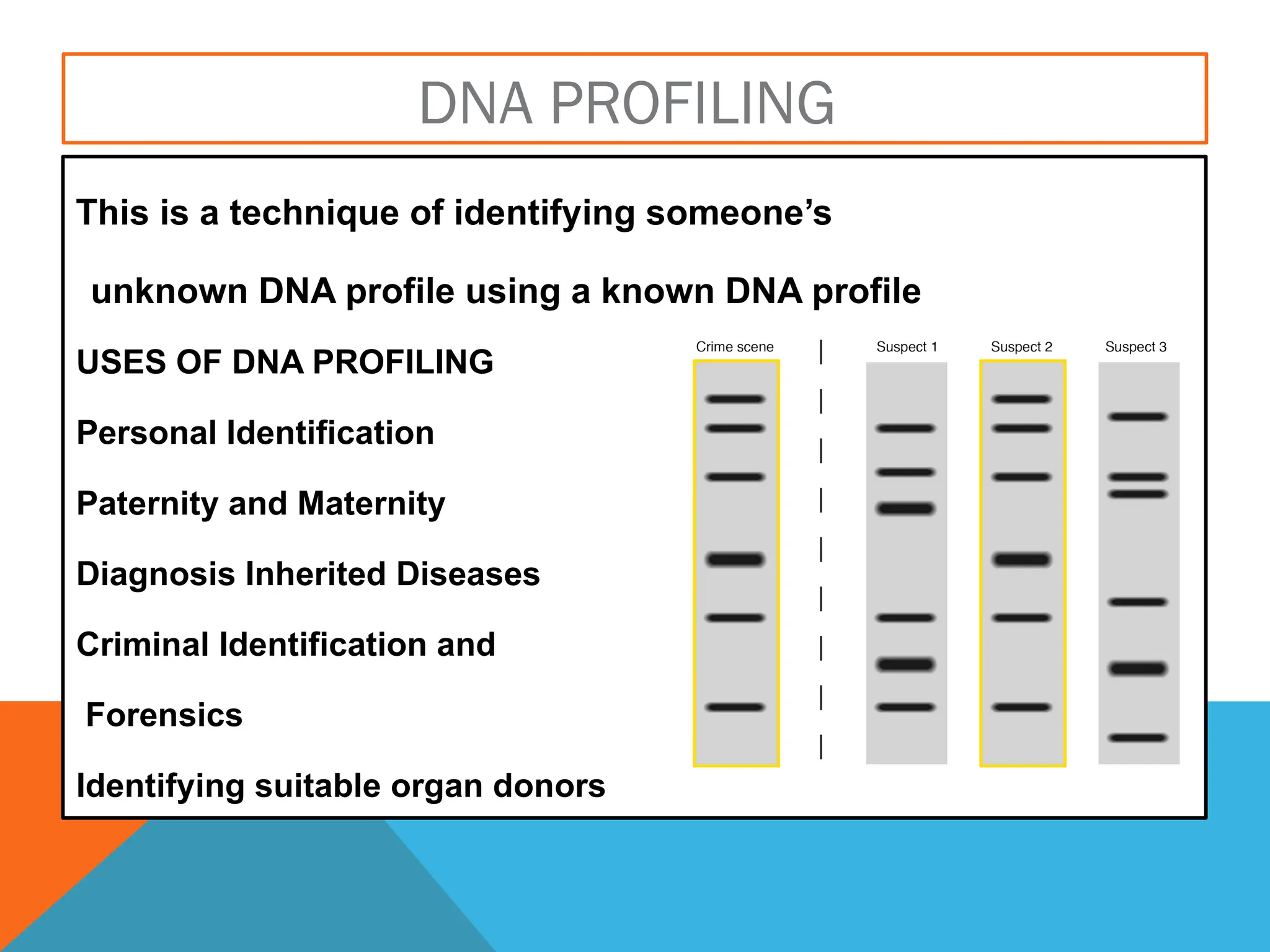 DNA code of life definition, importance of DNA, dma replication ...
