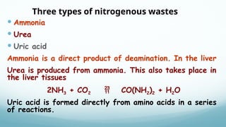 excretion- removal of waste, nitrogenous wastes, types and organisms ...