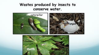 excretion- removal of waste, nitrogenous wastes, types and organisms ...