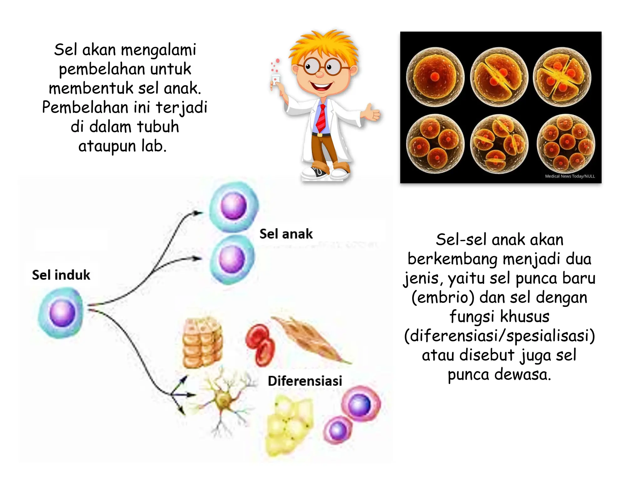 PPT - Sel dan Mikroskop Materi IPA Kelas 8.pptx