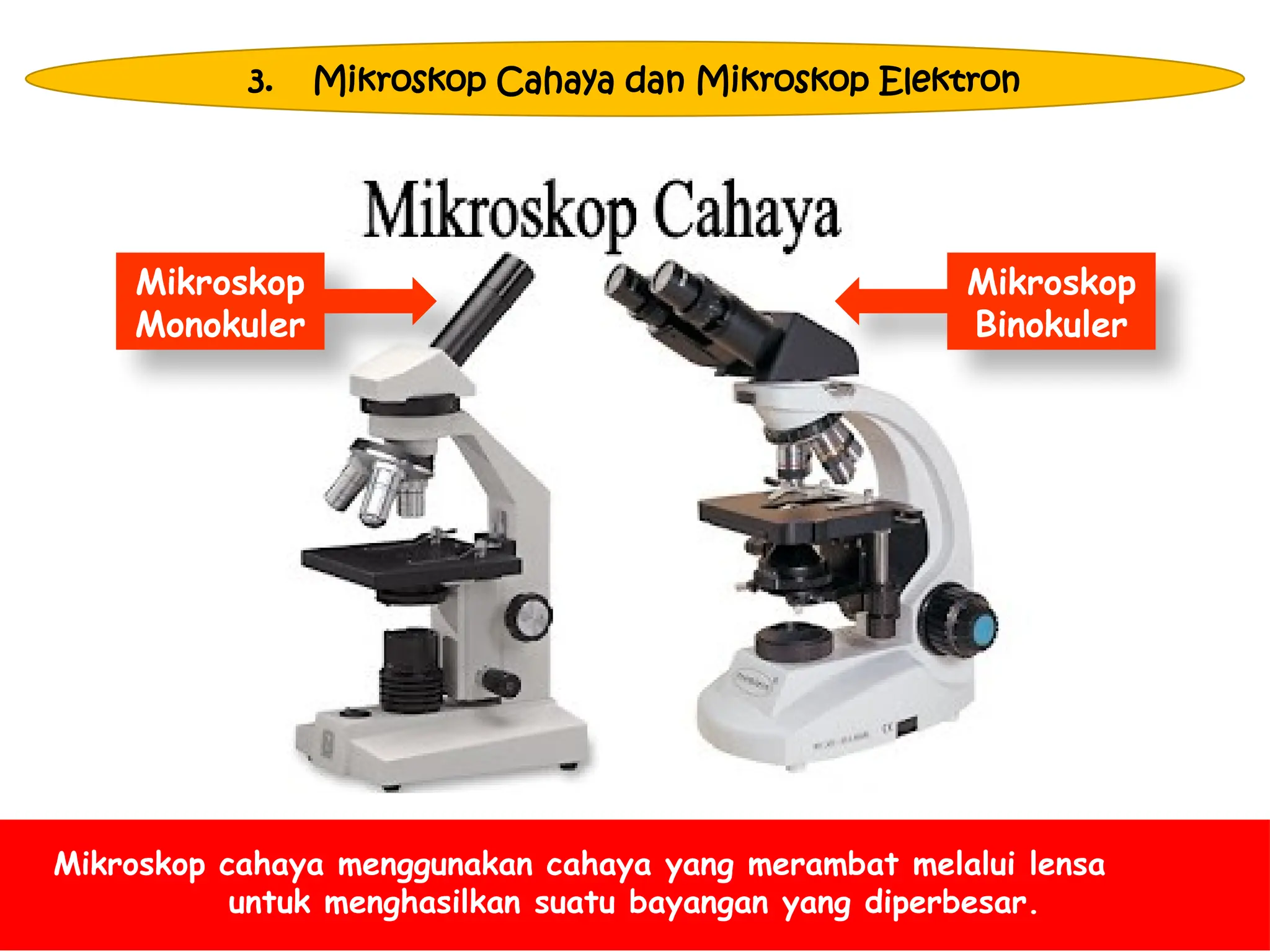 PPT - Sel dan Mikroskop Materi IPA Kelas 8.pptx