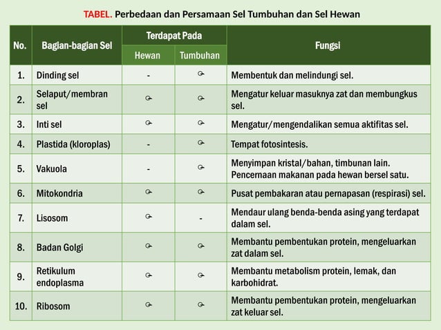PPT - Sel dan Mikroskop Materi IPA Kelas 8.pptx